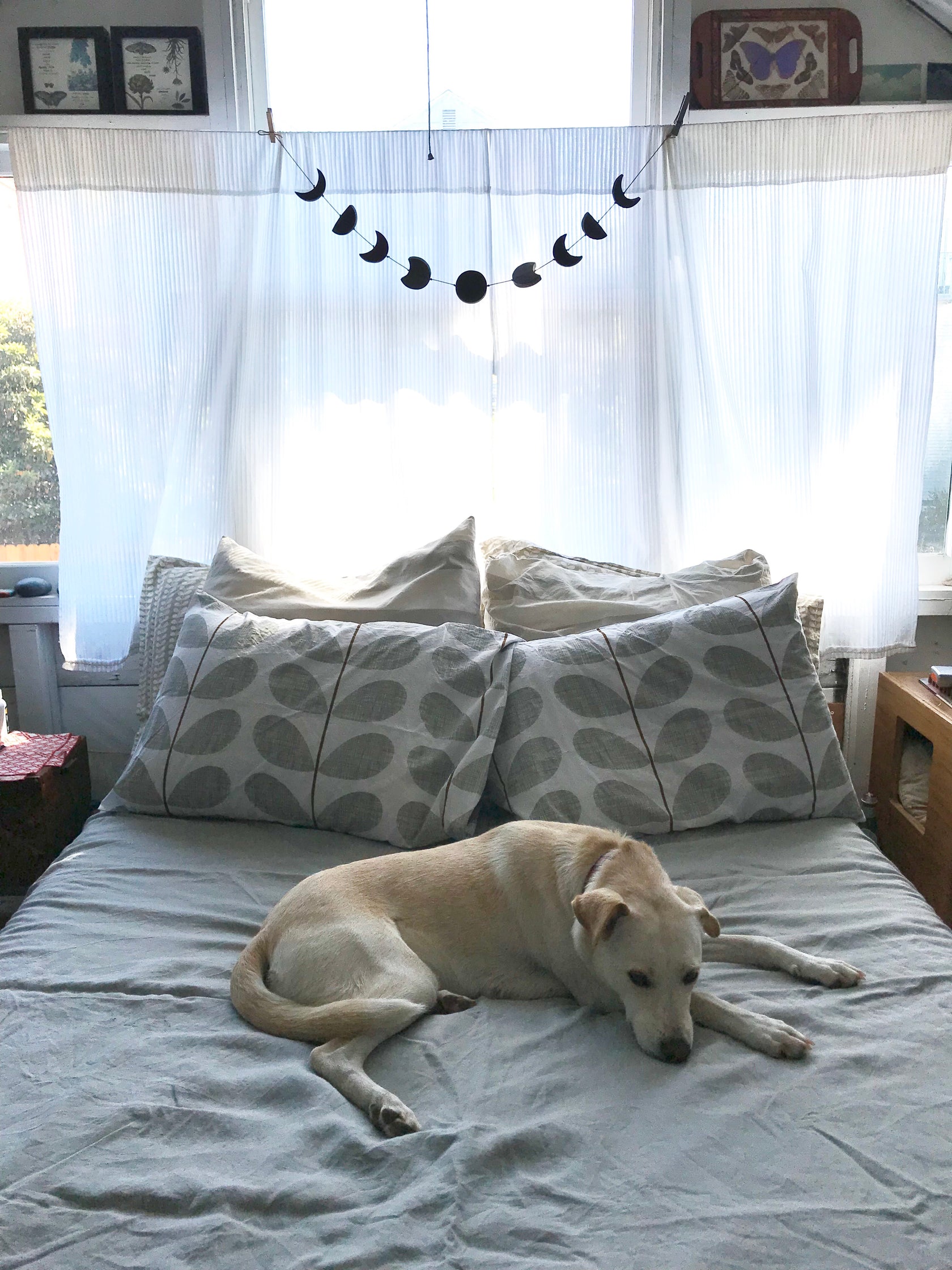 horizontal, ceramic 'black magic' moon wall hanging – jenifer lake